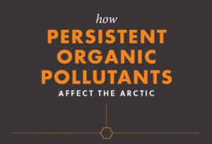 Persistent Organic Pollutants in the Arctic - Infographic | The Arctic ...